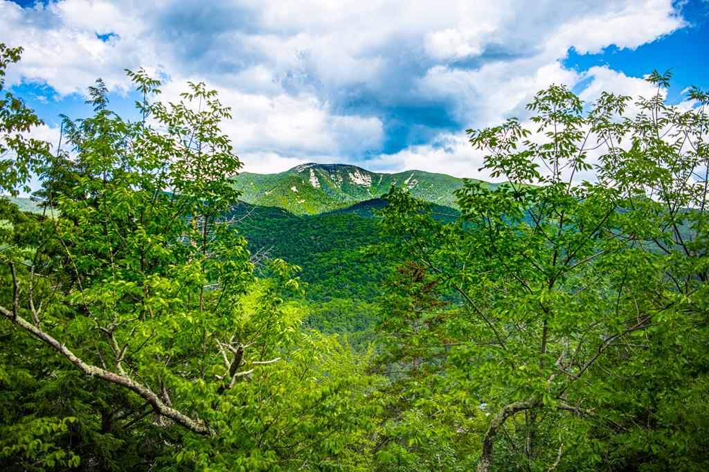 John "Jack" Favro | Merrill L. Thomas