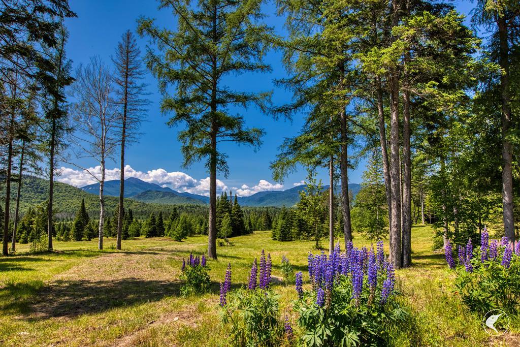 29 Lower Trail, Lake Placid NY 12946 | Merrill L. Thomas