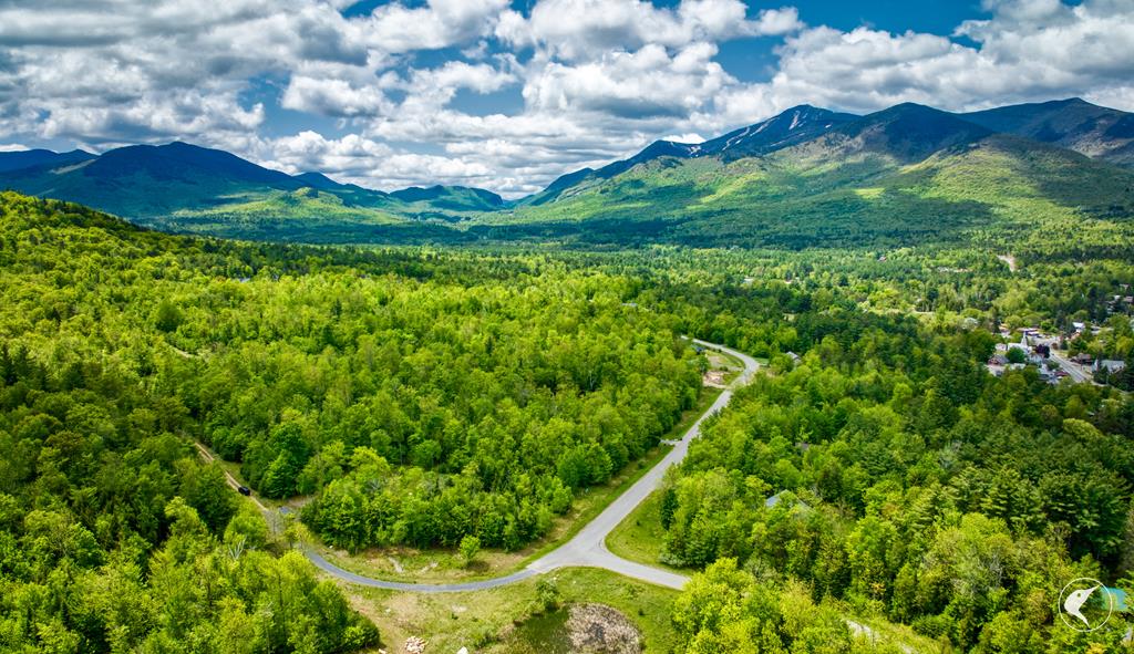 Kelly Locke | Merrill L. Thomas