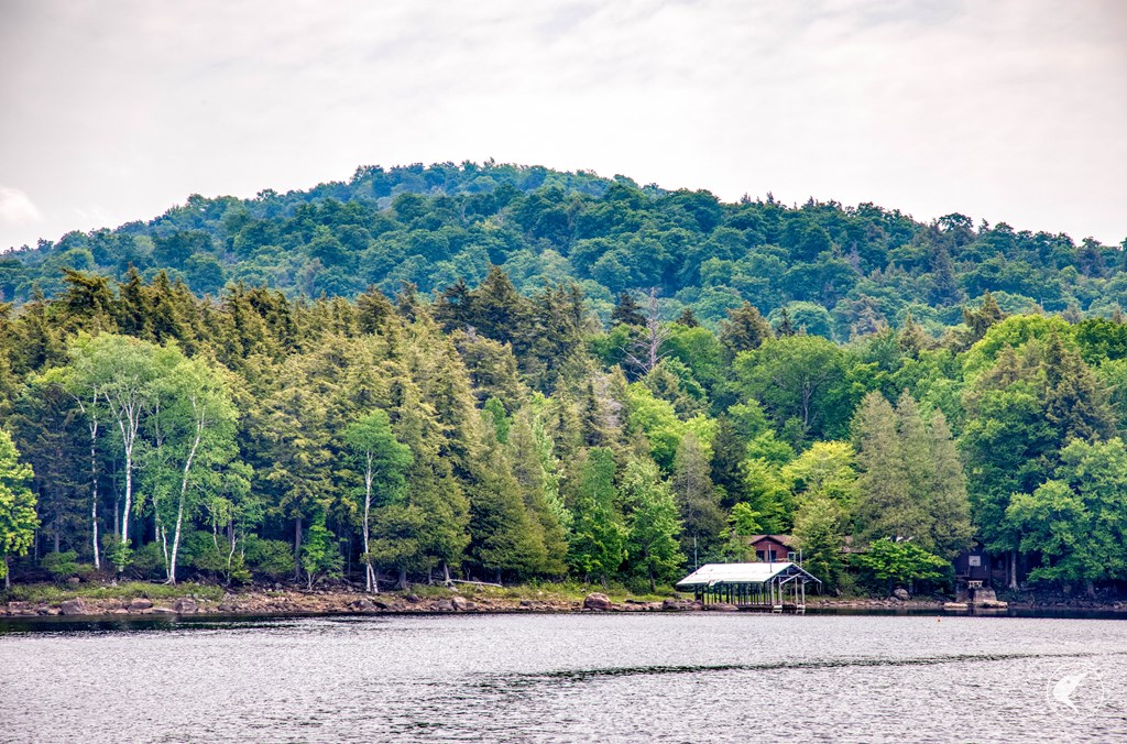 88 Dock Building 2463 Ln, Long Lake NY 12847 | Merrill L. Thomas